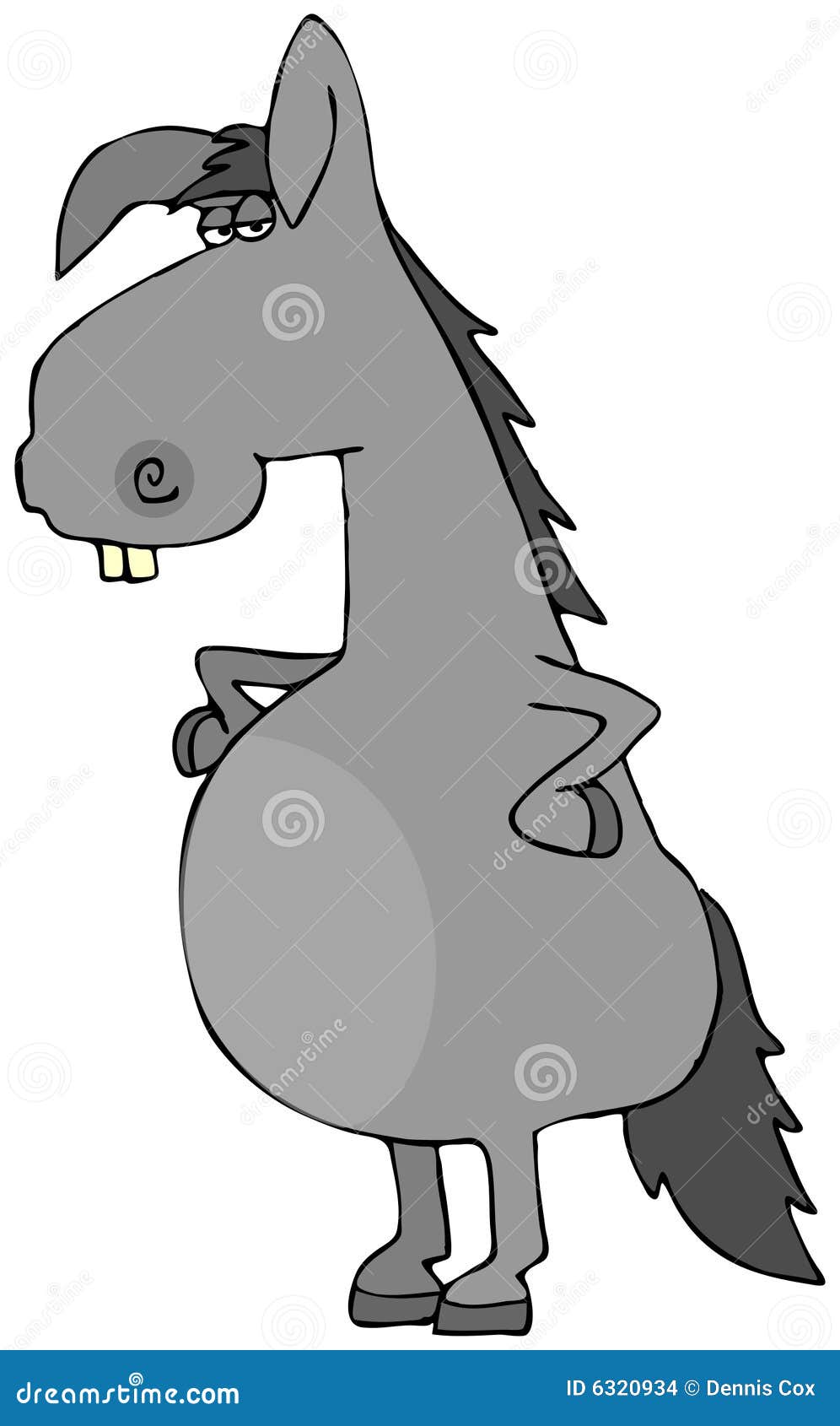 Bucktoothed Donkey stock illustration. Illustration of mane - 6320934