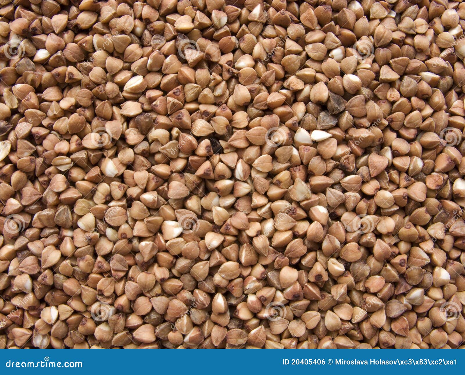 Buckwheat stock photo. Image of vegan, vegetable, plant - 20405406