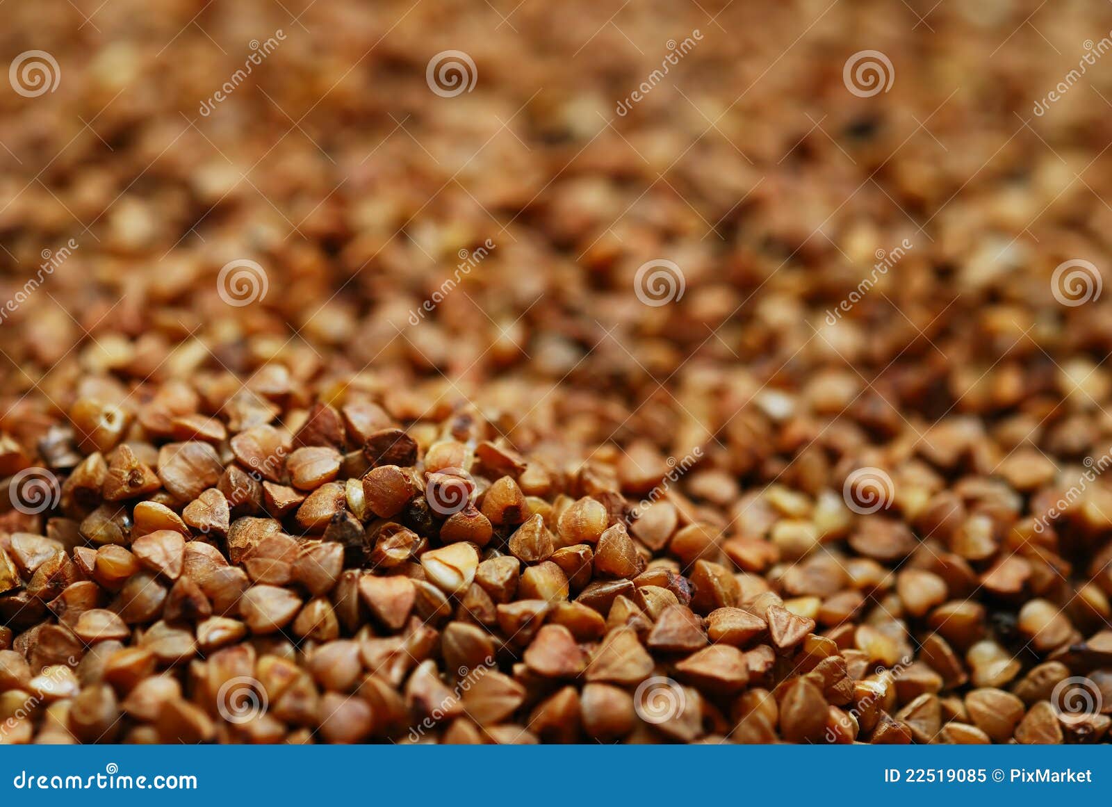 Buckwheat stock image. Image of close, food, closeup - 22519085