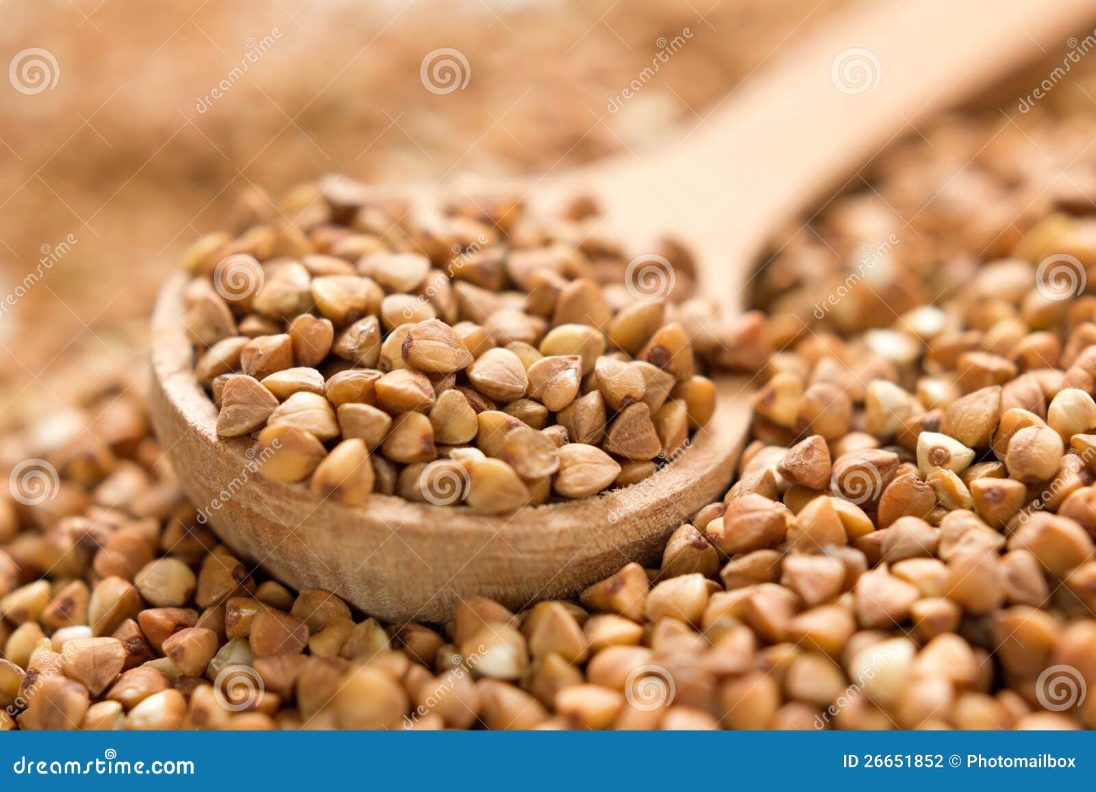 Buckwheat stock photo. Image of eating, buckwheat, grain - 26651852