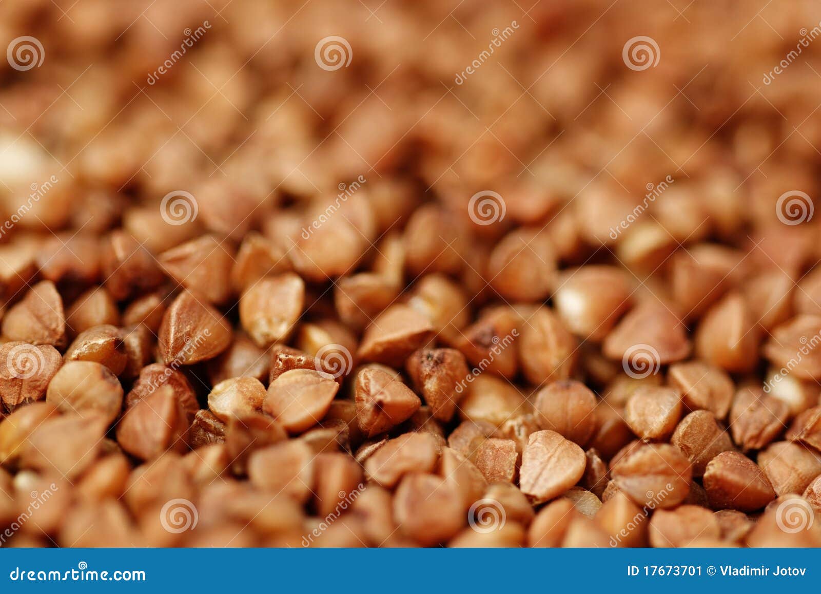Buckwheat closeup stock image. Image of buck, grain, backdrop - 17673701