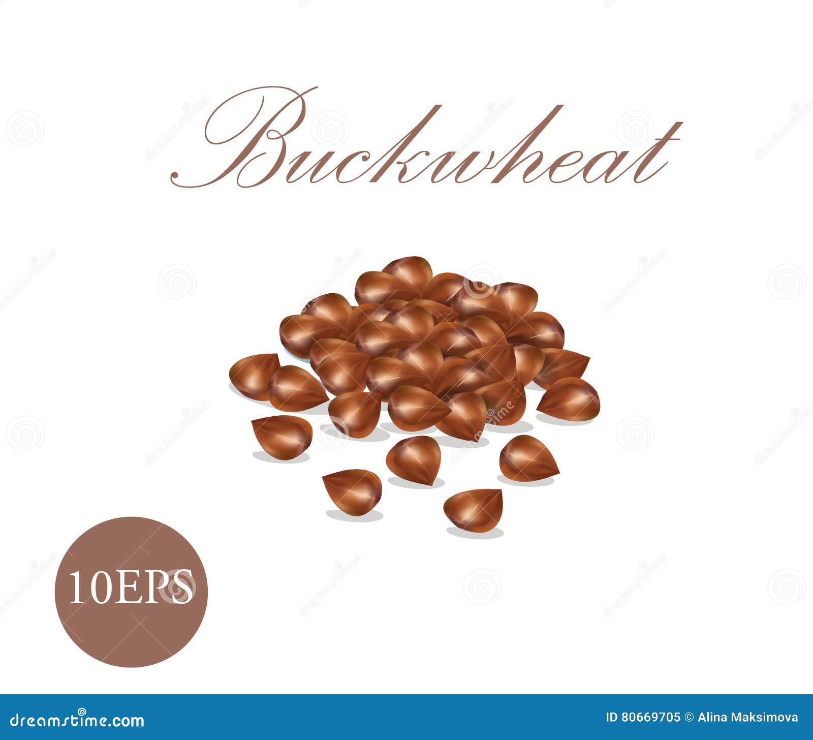 Buckwheat grain. Grain stock vector. Illustration of icon - 80669705