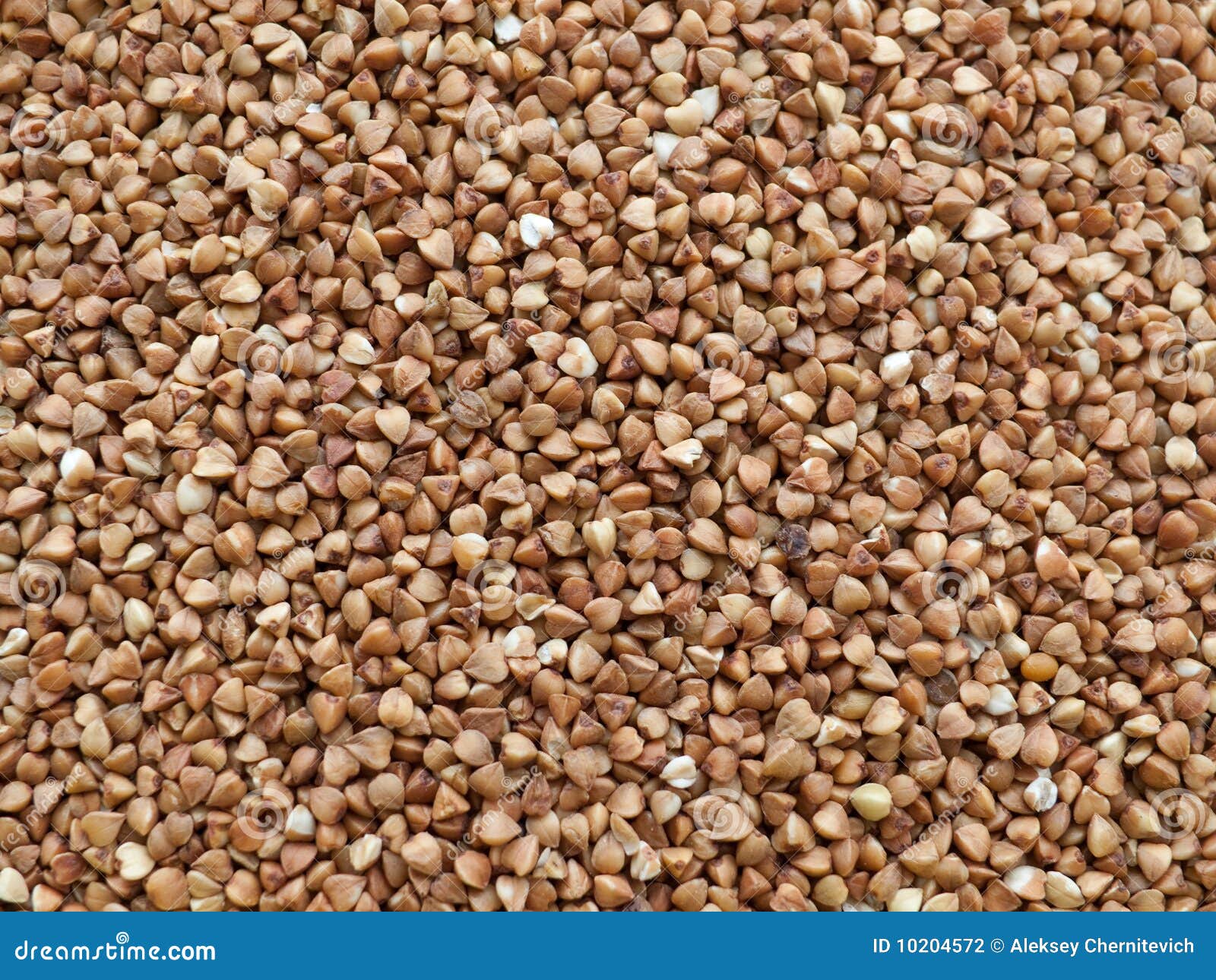 Buckwheat grains stock photo. Image of berry, healthy - 10204572