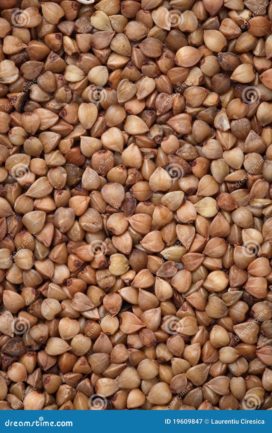 Buckwheat grains stock image. Image of food, warm, texture - 19609847