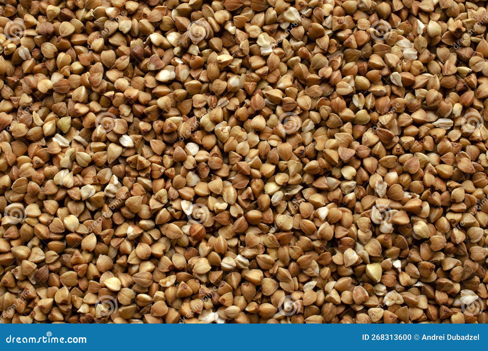 Buckwheat Grains Background, Texture, Top View. Dry Grains of Buckwheat ...