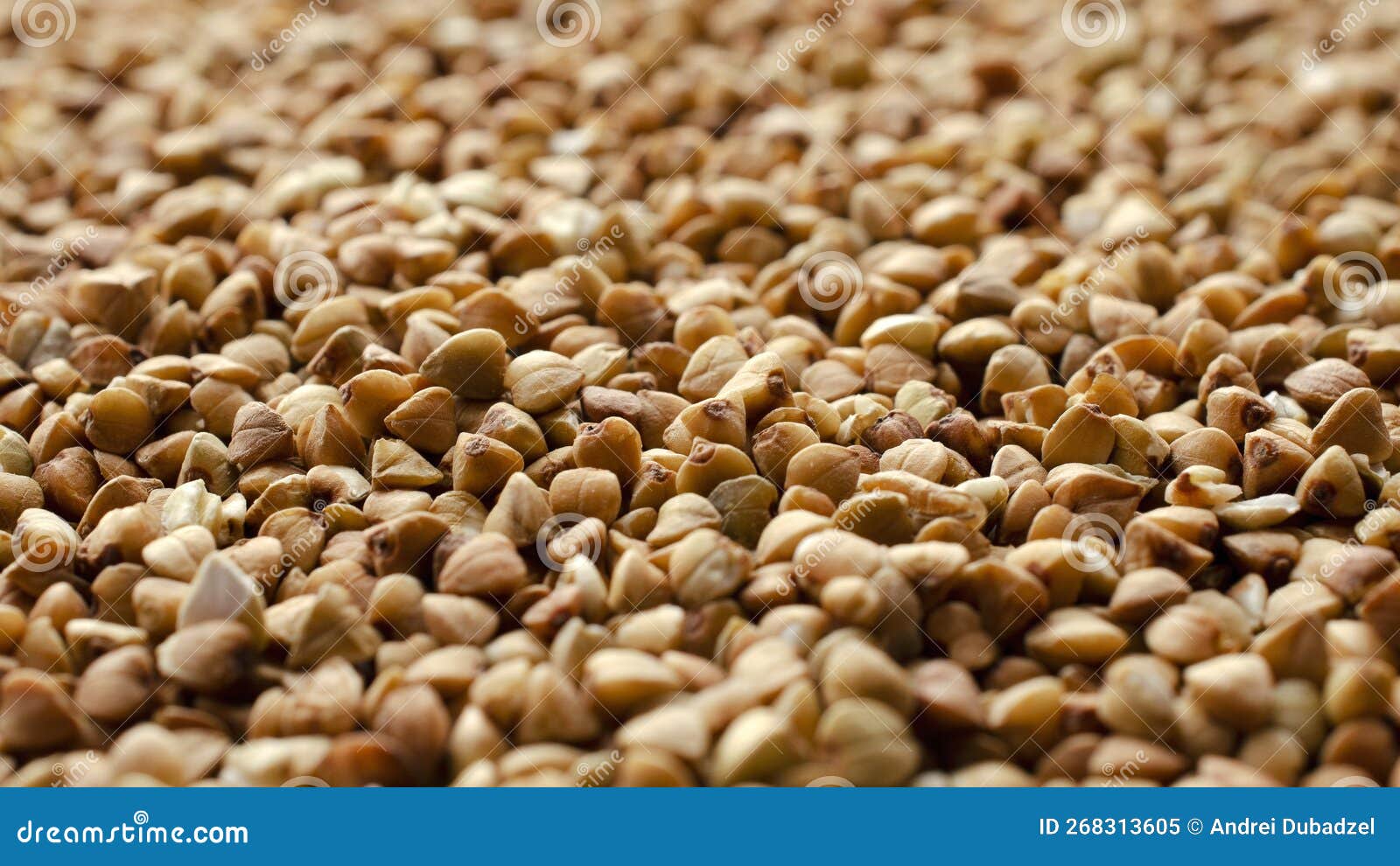 Buckwheat Grains Background, Texture, Top View. Dry Grains of Buckwheat ...