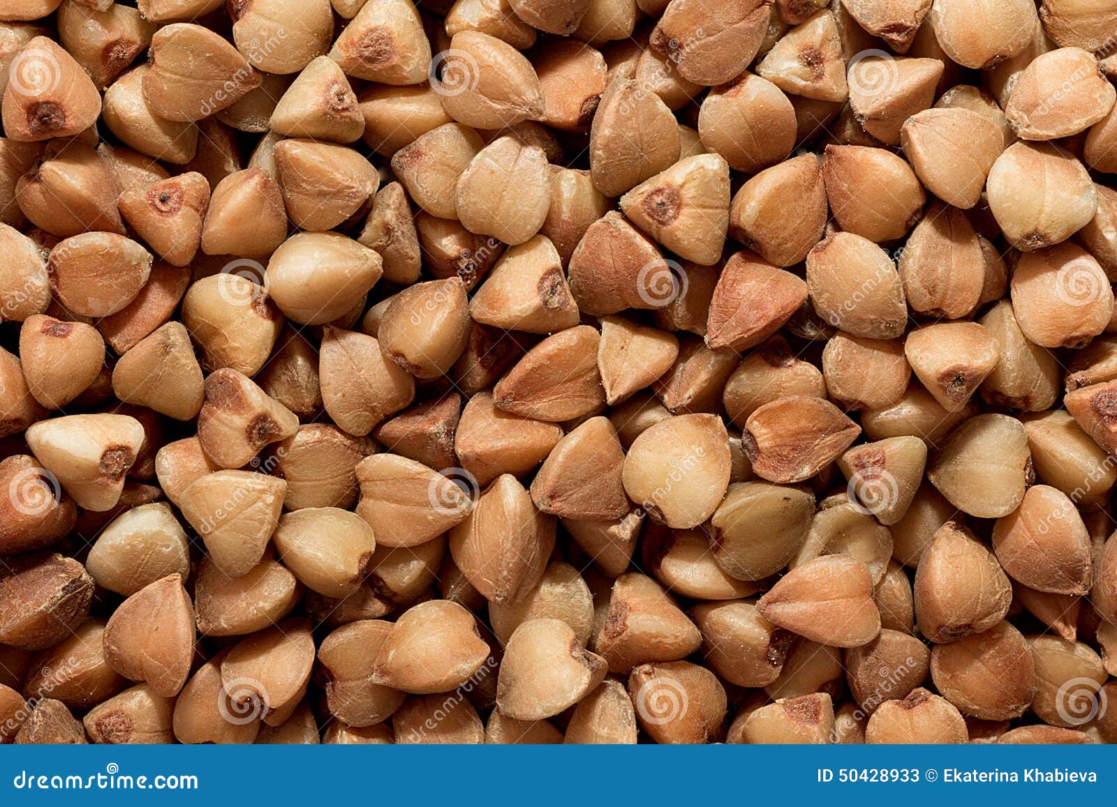 Buckwheat stock image. Image of village, grain, grains - 50428933