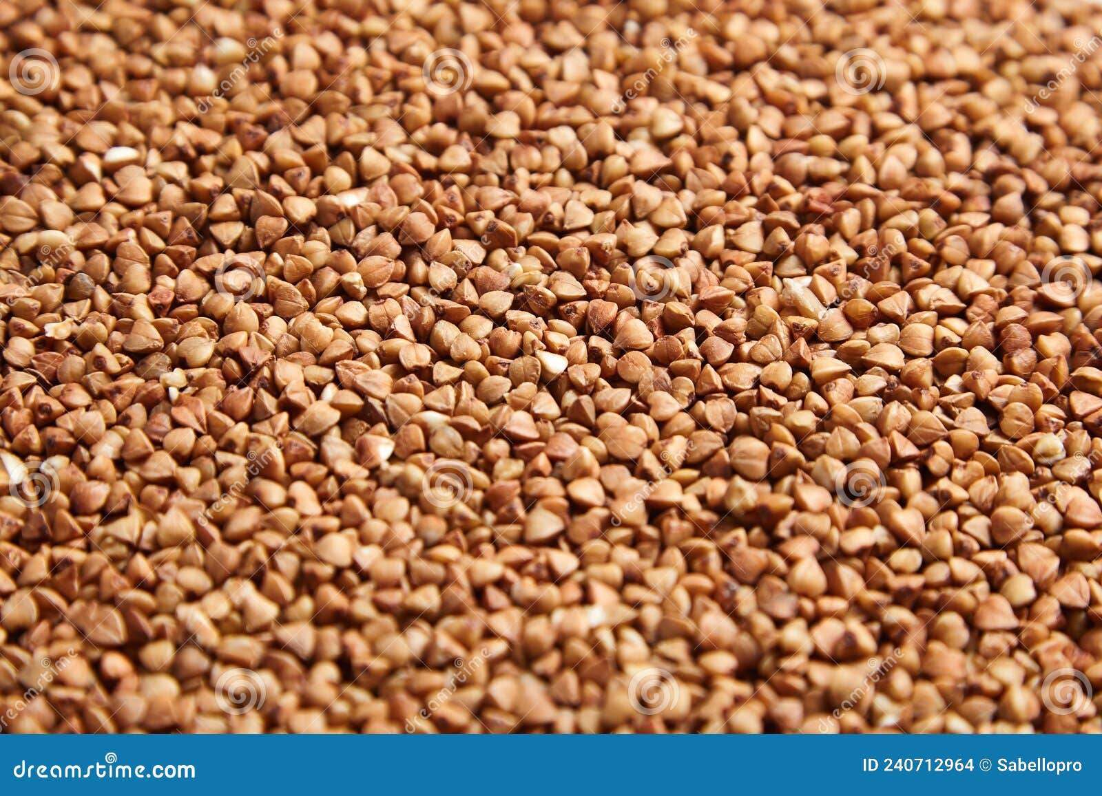 Buckwheat Grains. Dry Brown Kernel Stock Photo - Image of ingredient ...