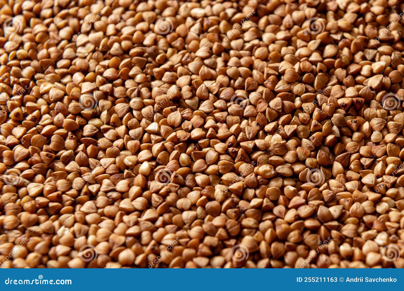 Buckwheat Groats Close Up. Organic Dried Buckwheat Stock Image - Image ...