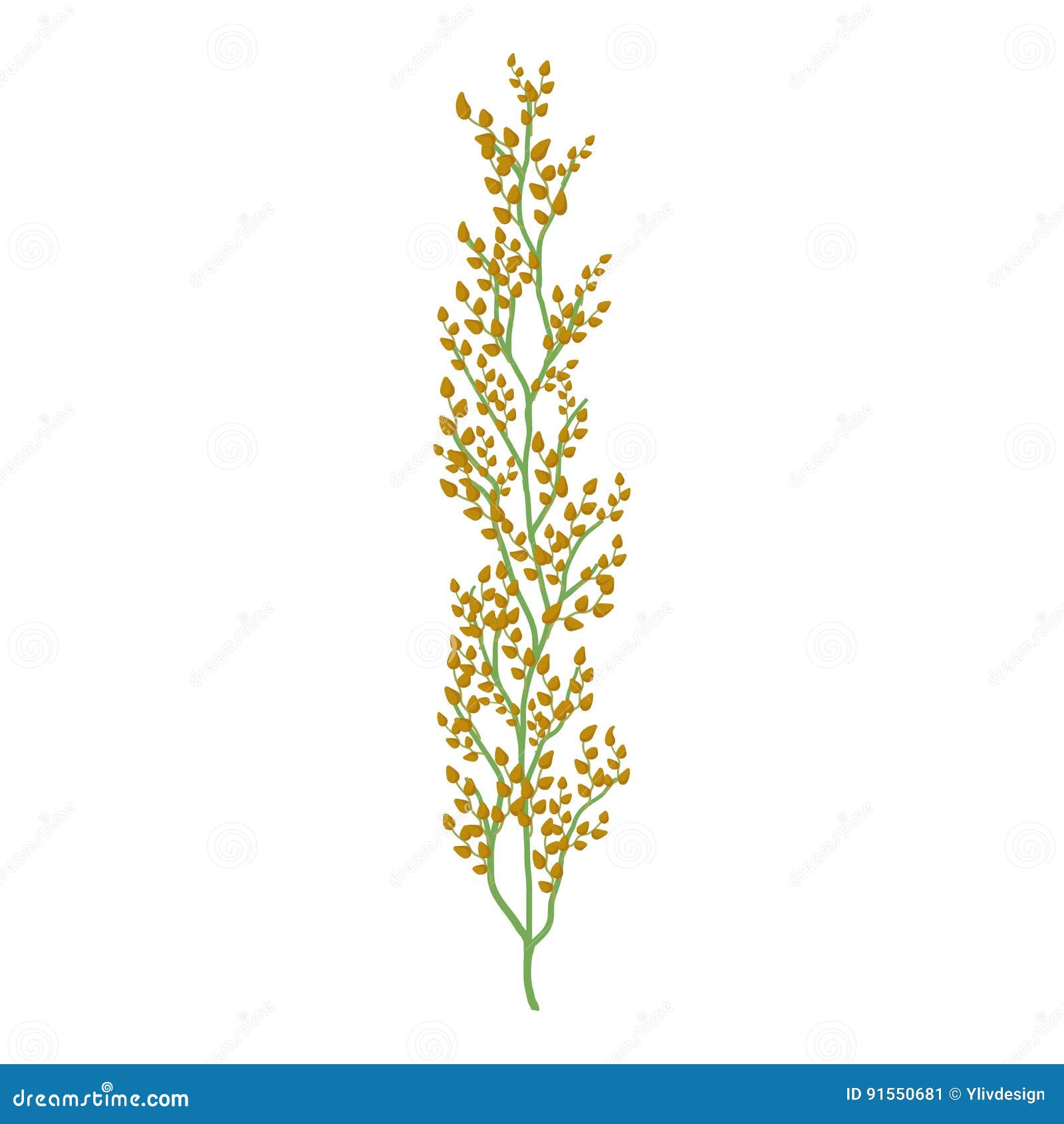 Buckwheat Icon, Cartoon Style Stock Vector - Illustration of ...