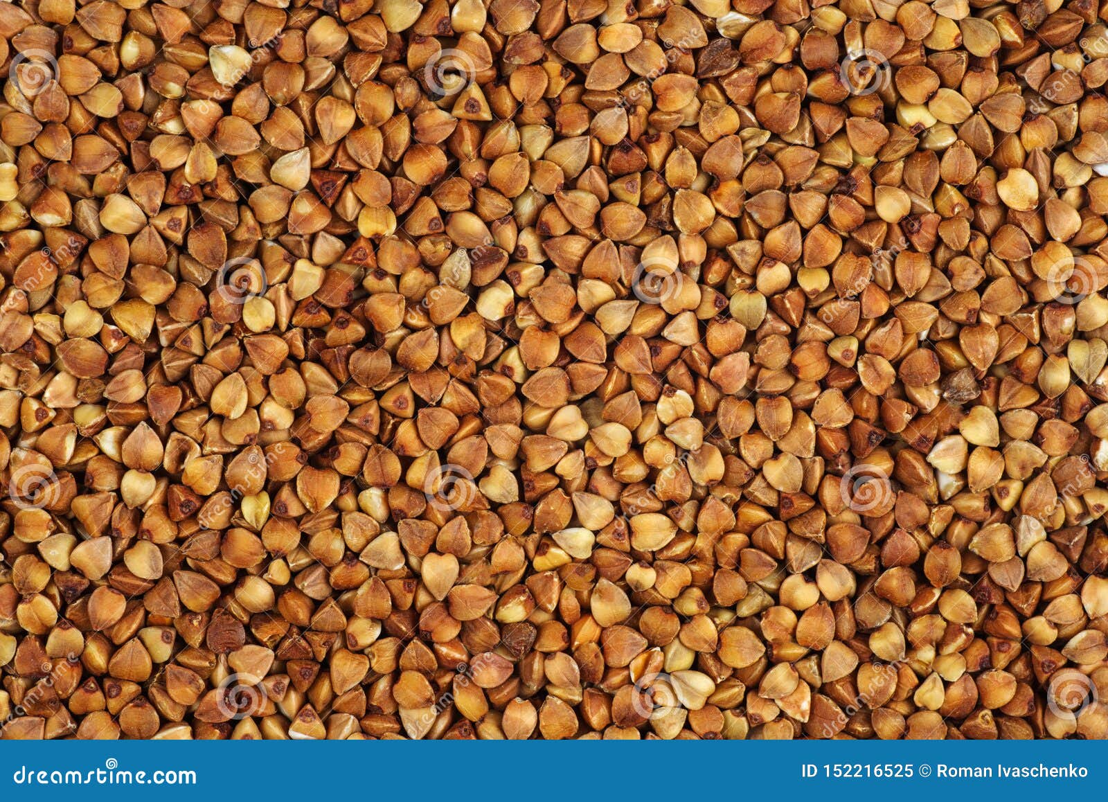 Dried buckwheat grains stock image. Image of organic - 152216525
