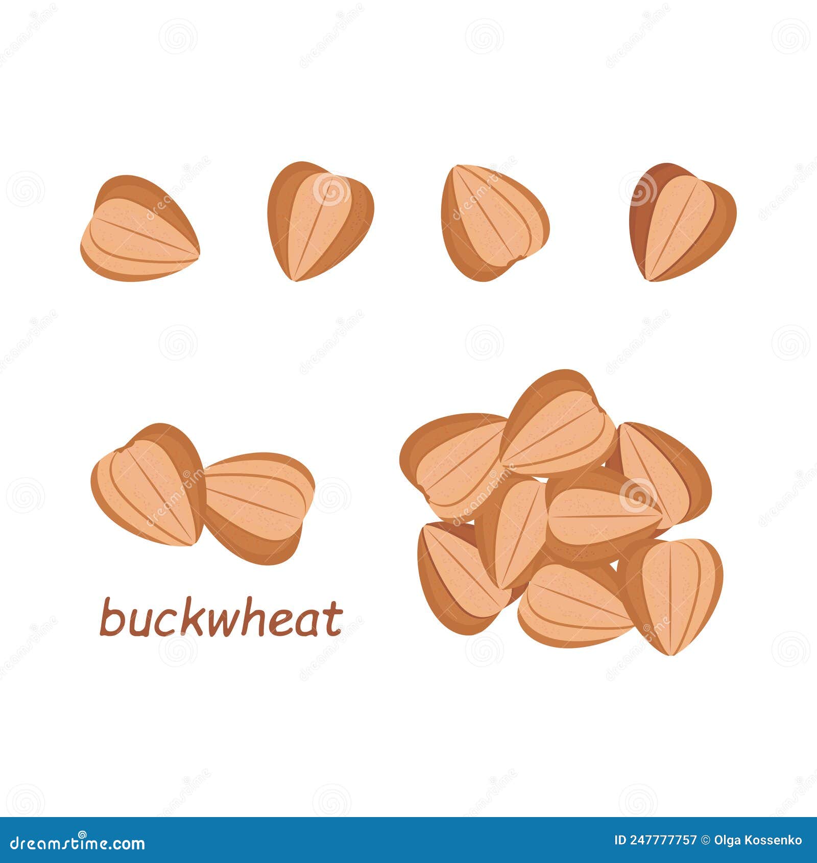Buckwheat Seeds. Vector Set. | CartoonDealer.com #247777757