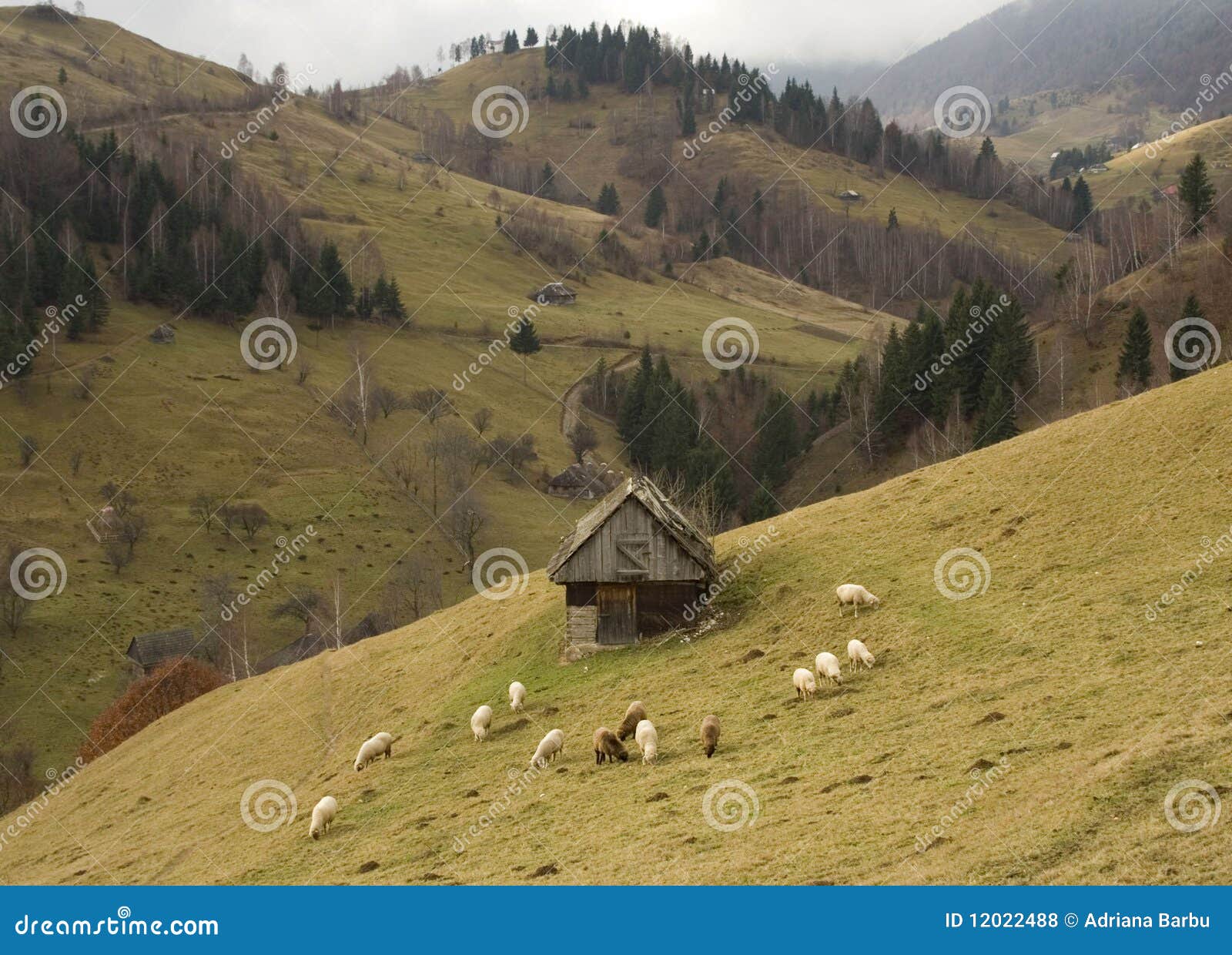 Bucolic landscape stock photo. Image of craiului, hill - 12022488