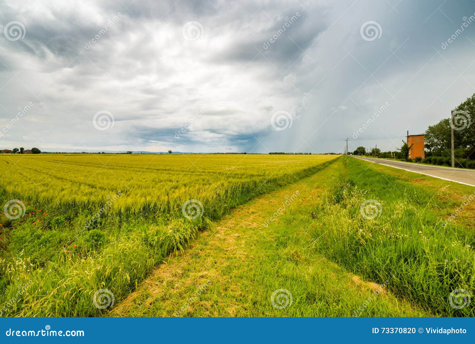 Bucolic landscape stock photo. Image of field, green - 73370820