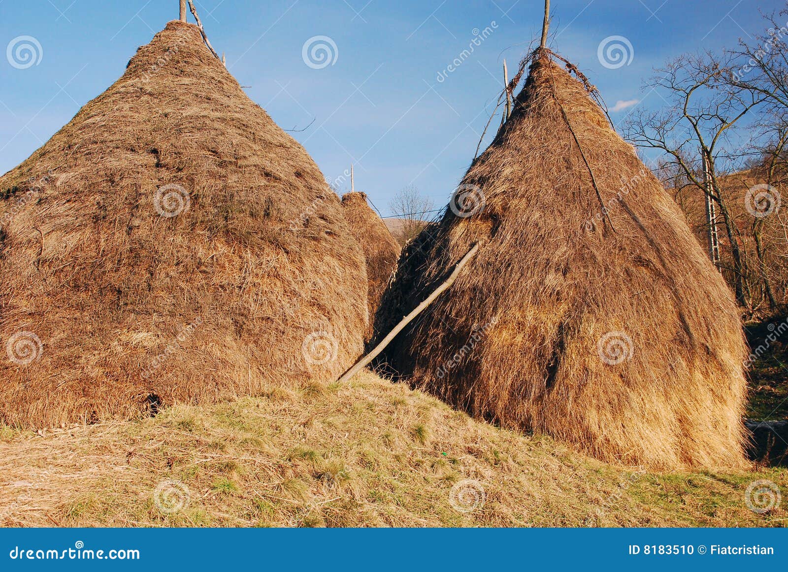 Bucolic practice stock photo. Image of addition, person - 8183510