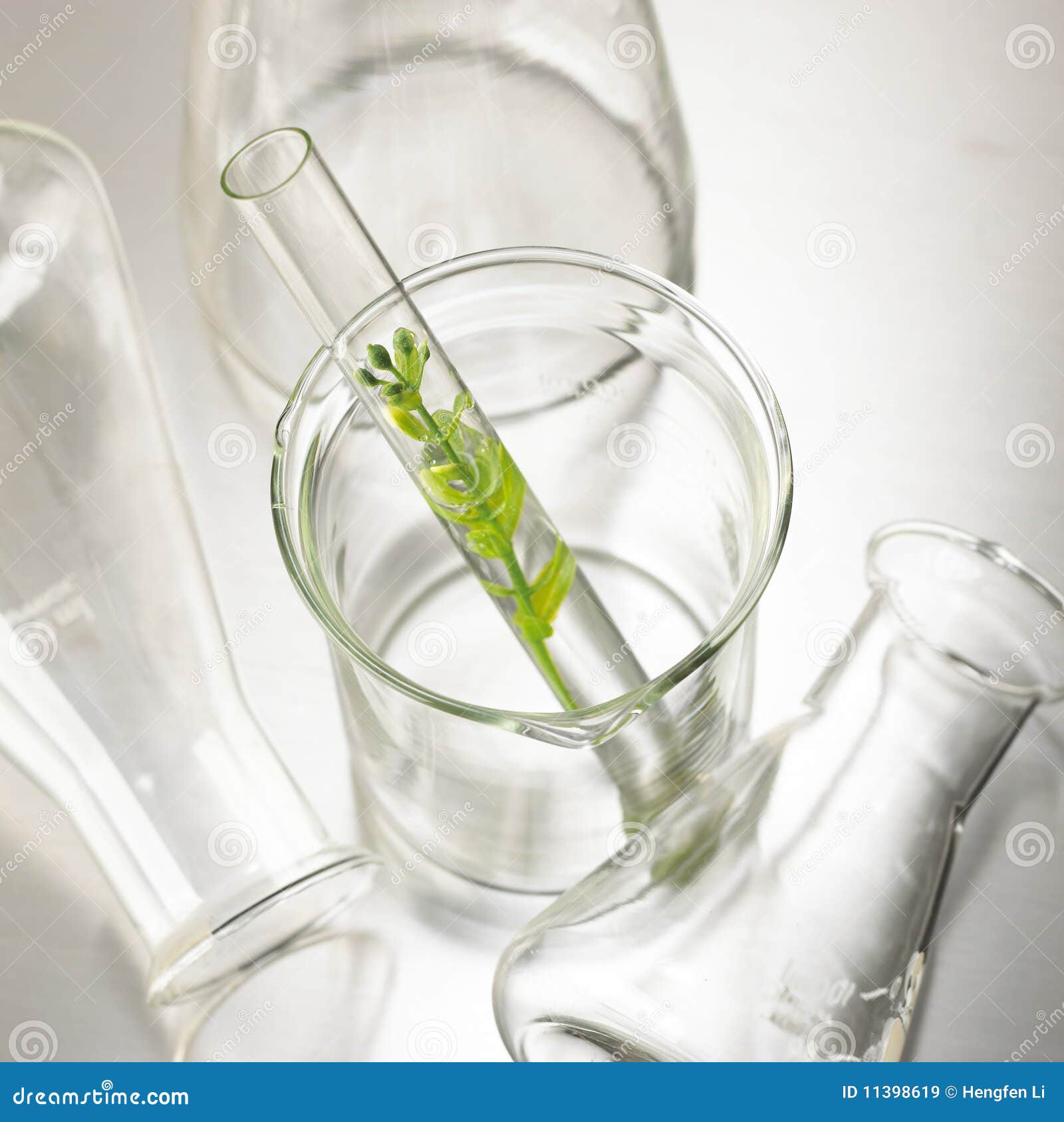 Bud grows in test tube stock image. Image of life, chemistry - 11398619