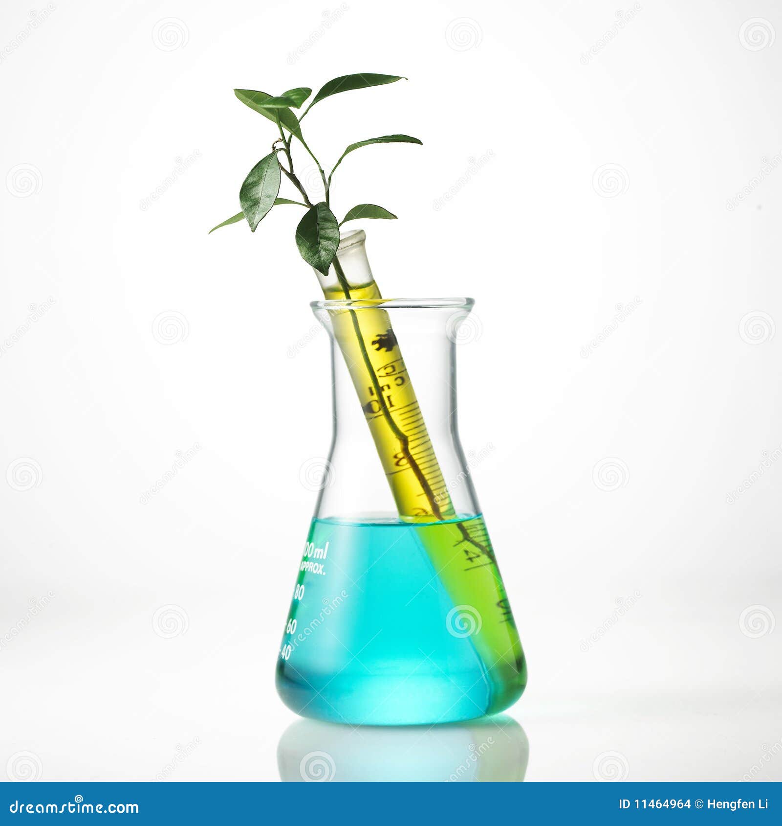 Bud grows in test tube stock photo. Image of conservation - 11464964