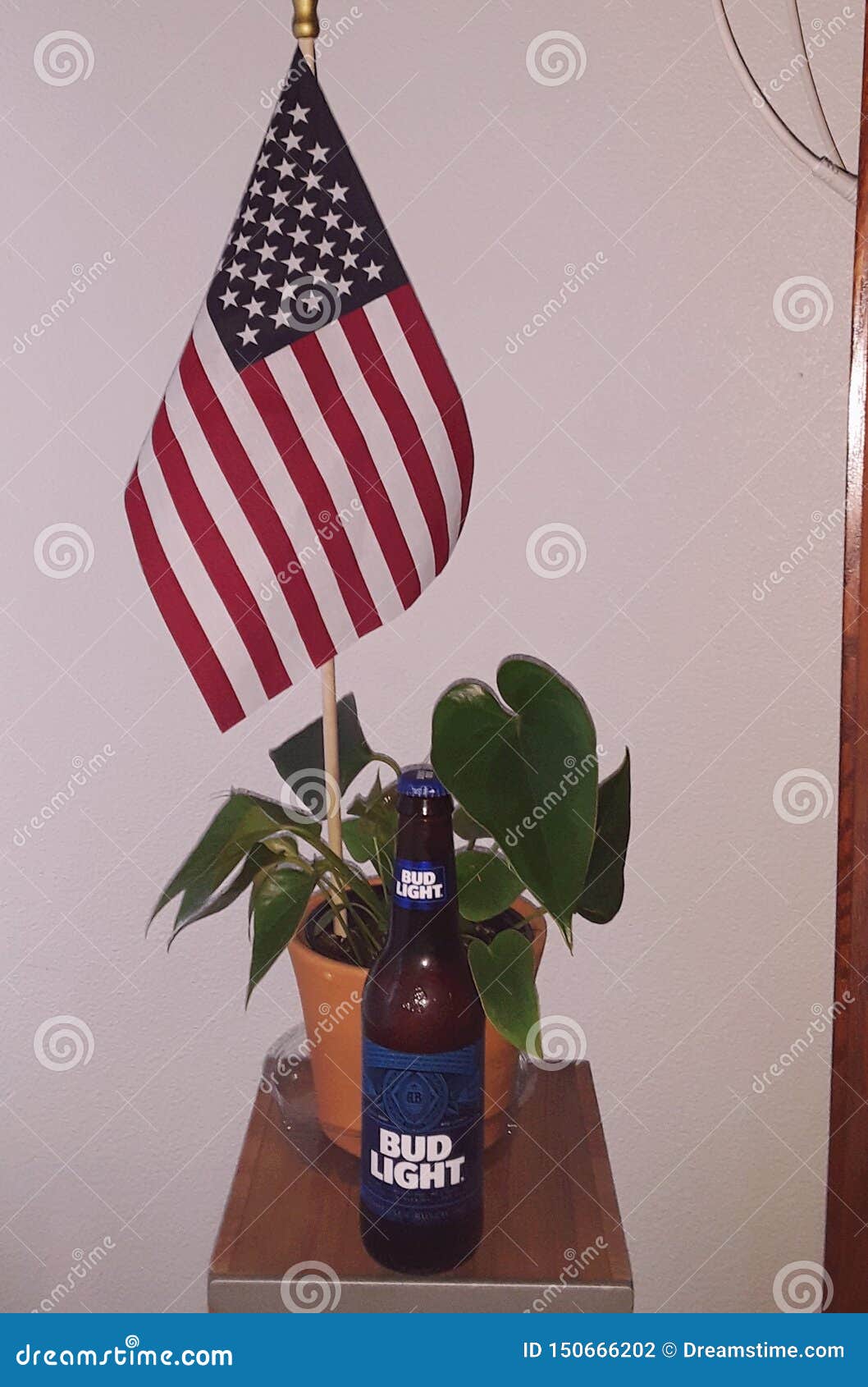 Bud light flag plant editorial photography. Image of plant - 150666202