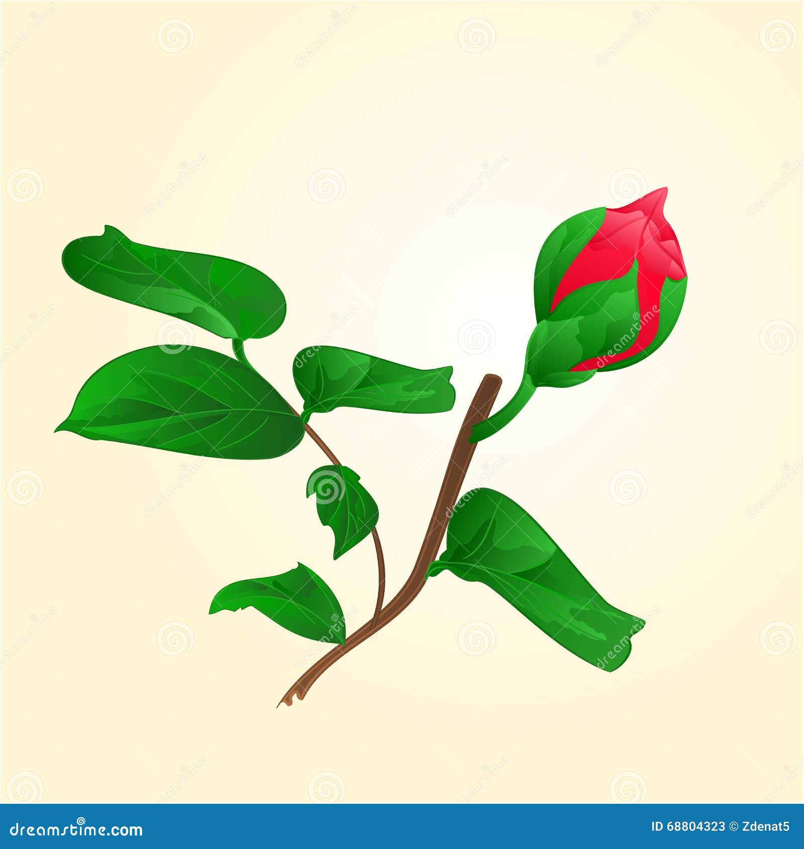 Bud of red flower vector stock vector. Illustration of beautiful - 68804323