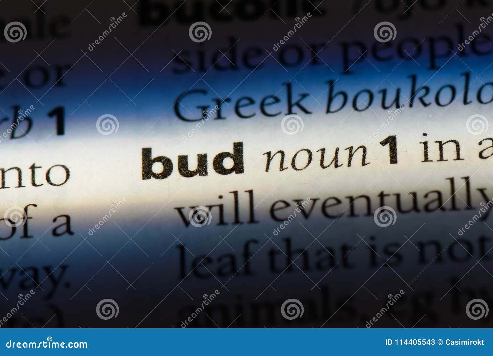 Bud stock image. Image of word, printed, macro, english - 114405543