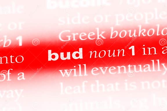Bud stock illustration. Illustration of writing, printed - 114413309