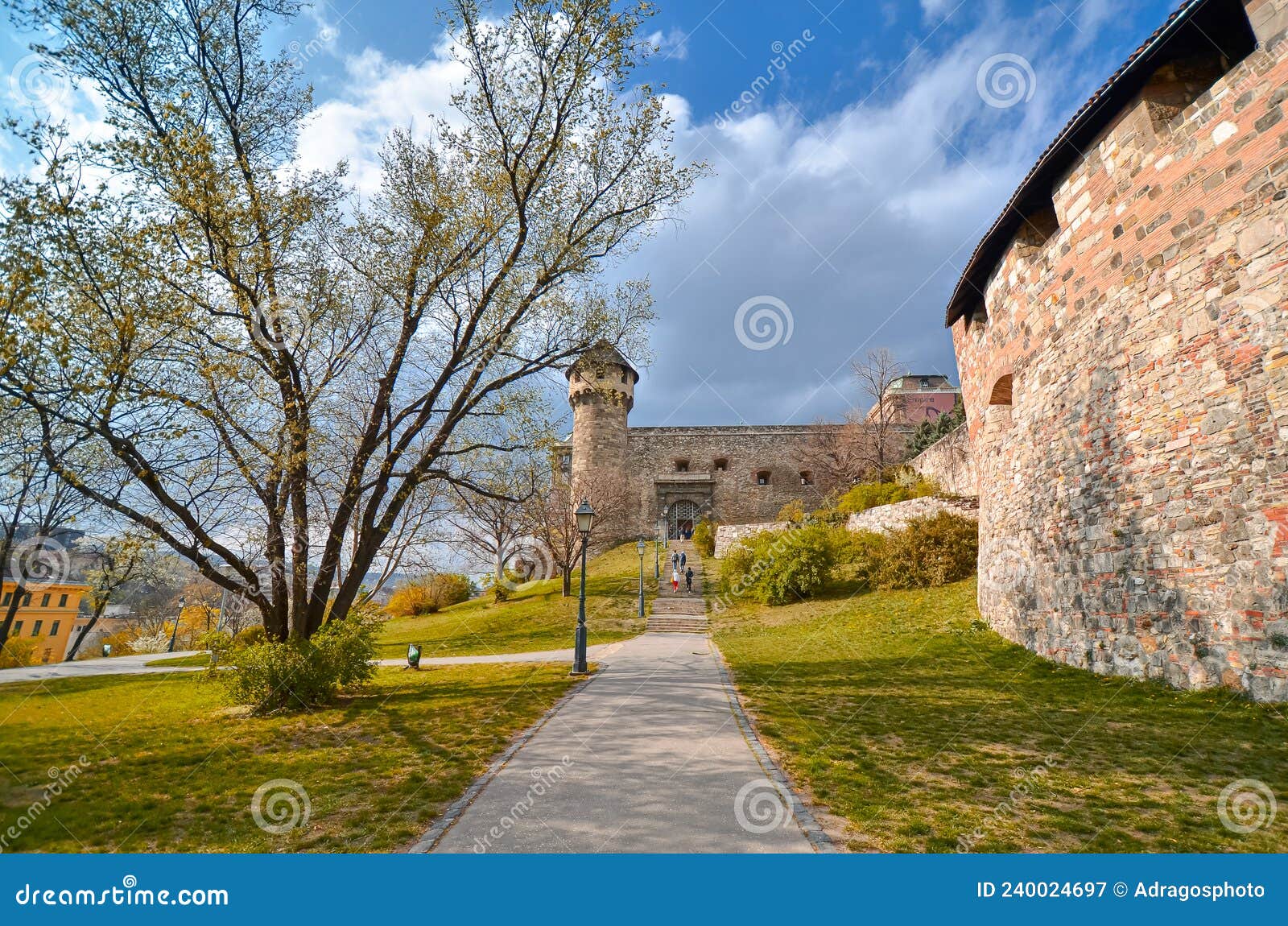 Buda Castle Building in Budapest with Impressive Architecture Details ...