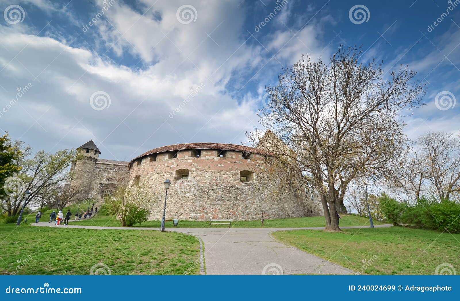 Buda Castle Building in Budapest with Impressive Architecture Details ...