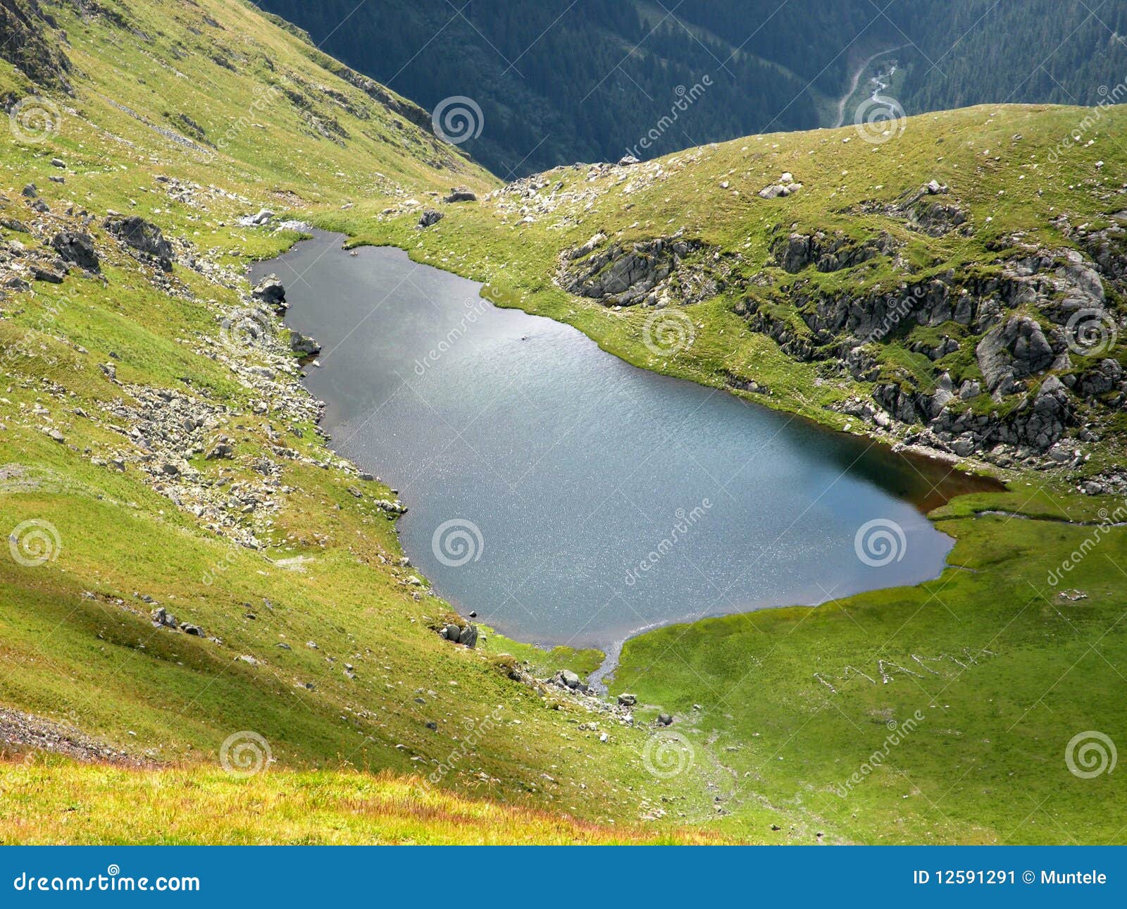 Buda lake stock image. Image of glecier, grass, alpine - 12591291