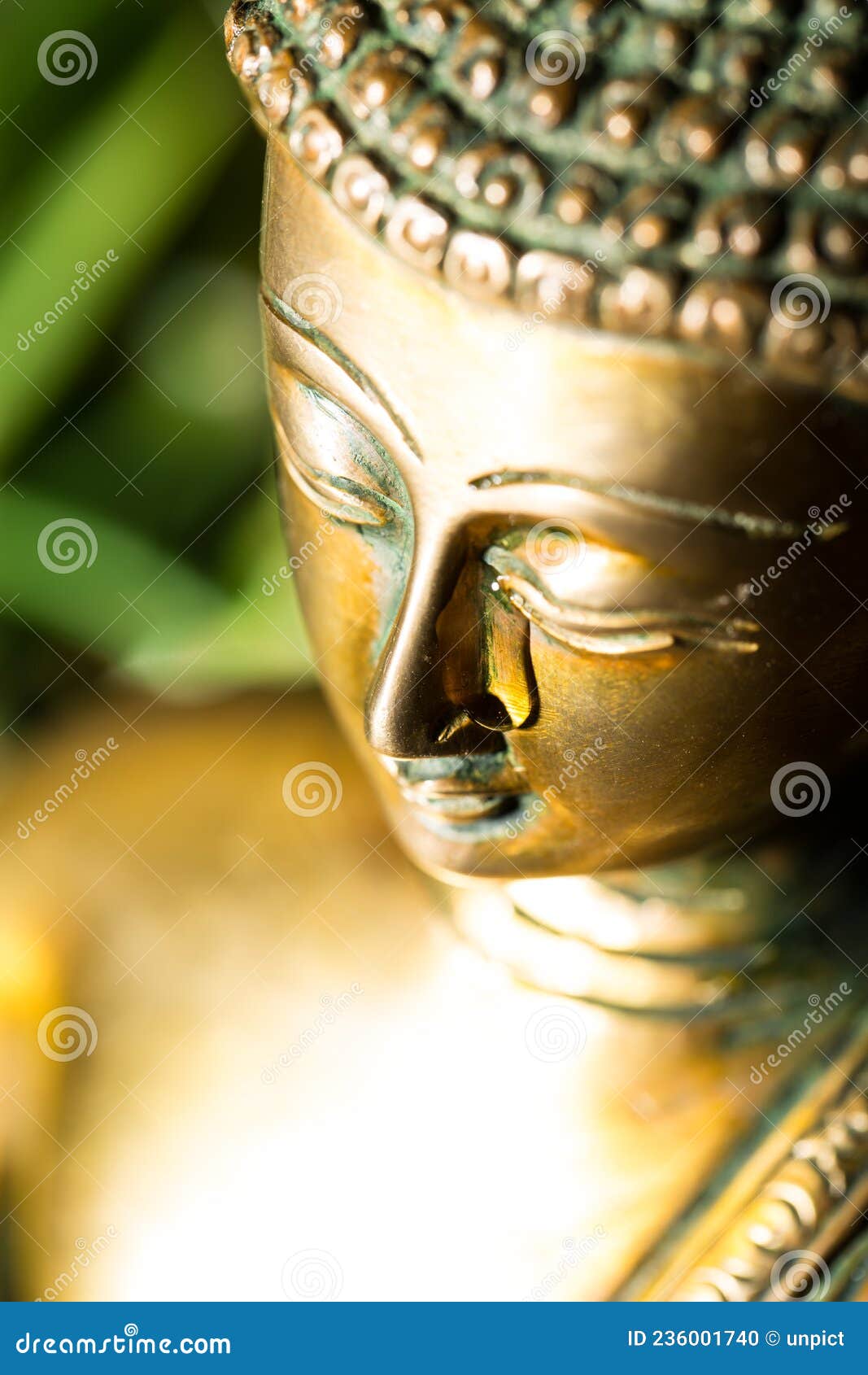 Buda llorando desde arriba foto de archivo. Imagen de corrida - 236001740