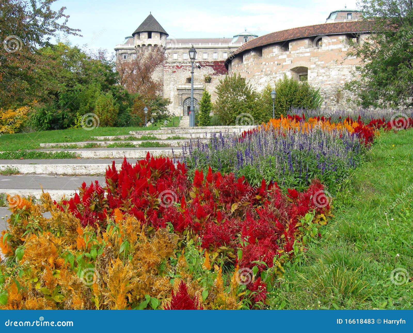 Budapest stock image. Image of flower, budapest, flowers - 16618483