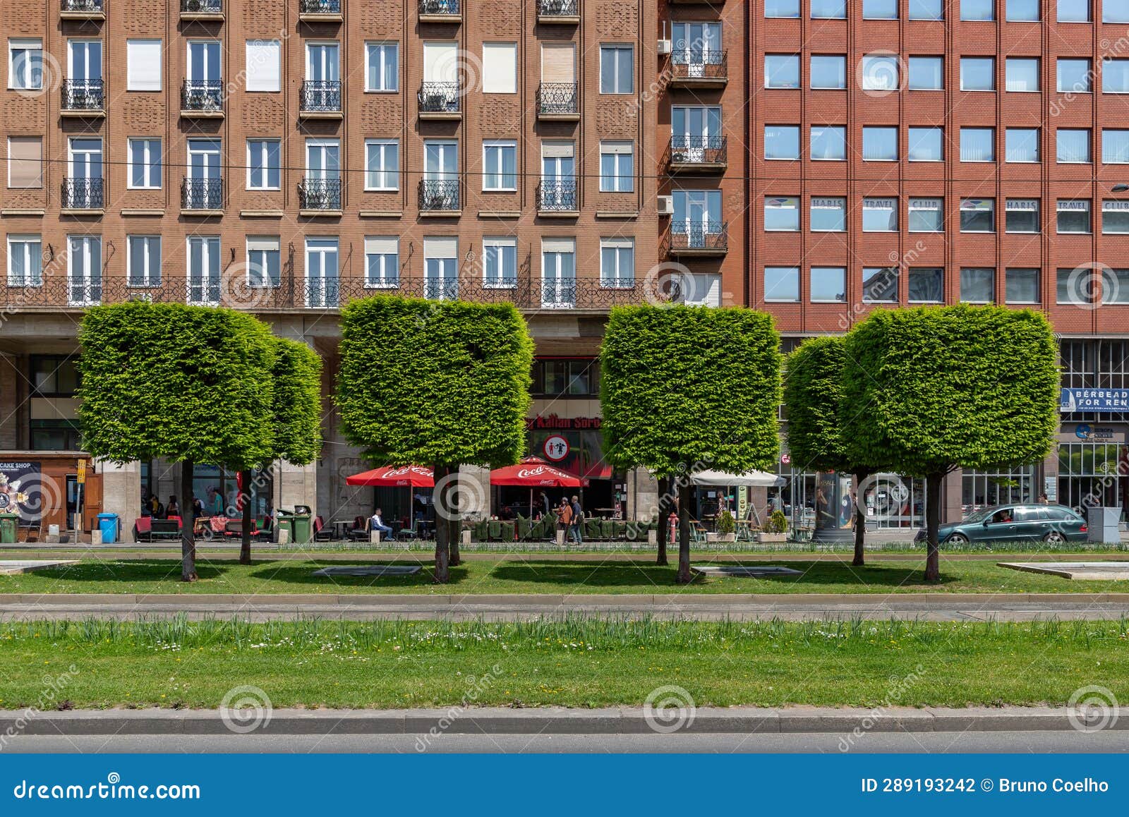 Kiskorut Cube Trees editorial photography. Image of boulevard - 289193242