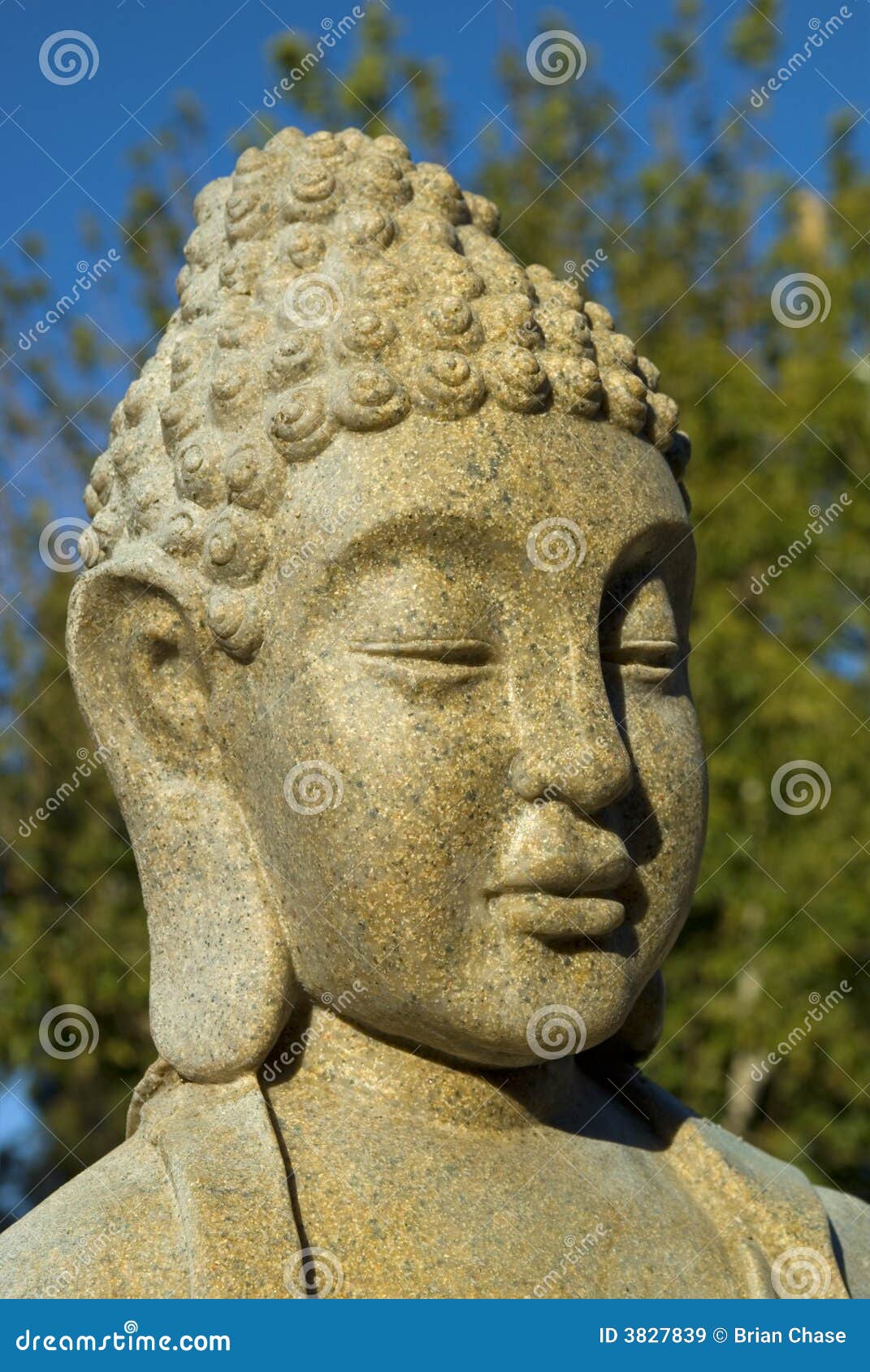 Buddha stock image. Image of calm, sacred, holy, india - 3827839
