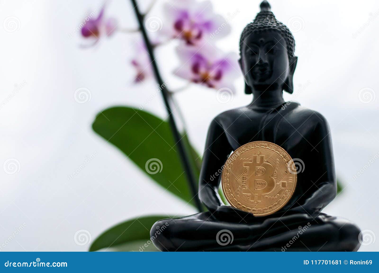 Buddha with bitcoin stock image. Image of buddhism, financial - 117701681
