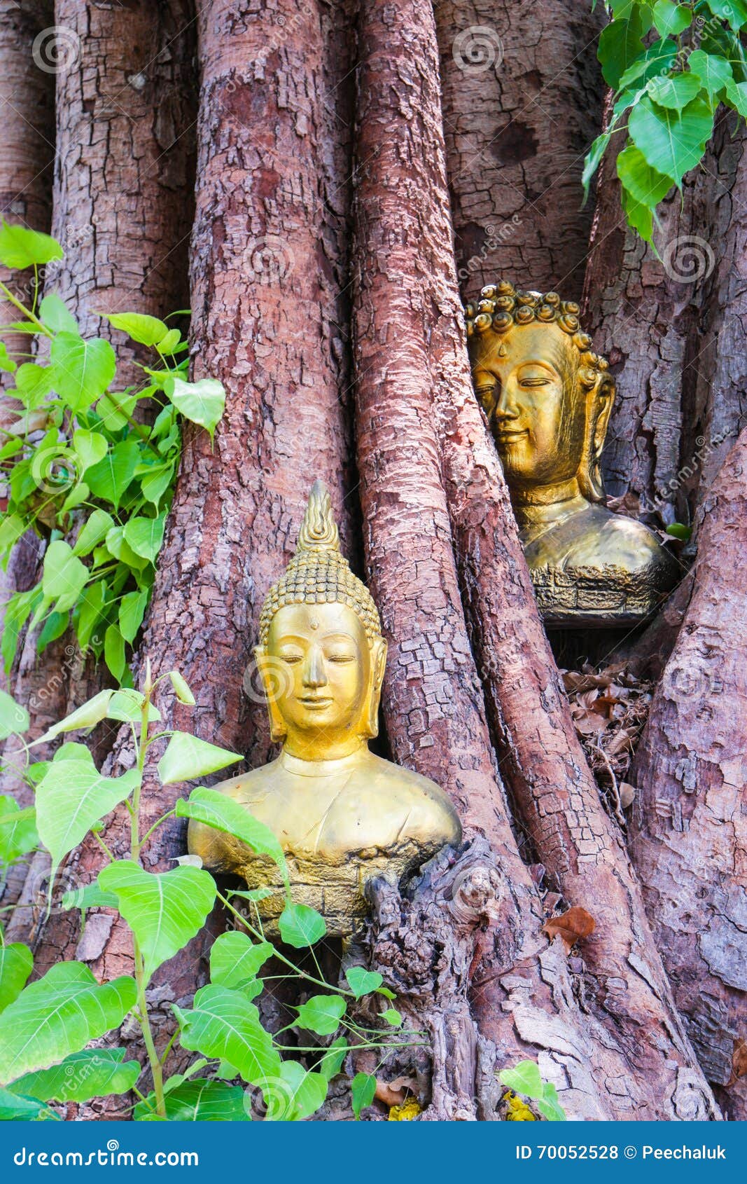 Buddha And The Bodhi Tree Stock Photography | CartoonDealer.com #76948184