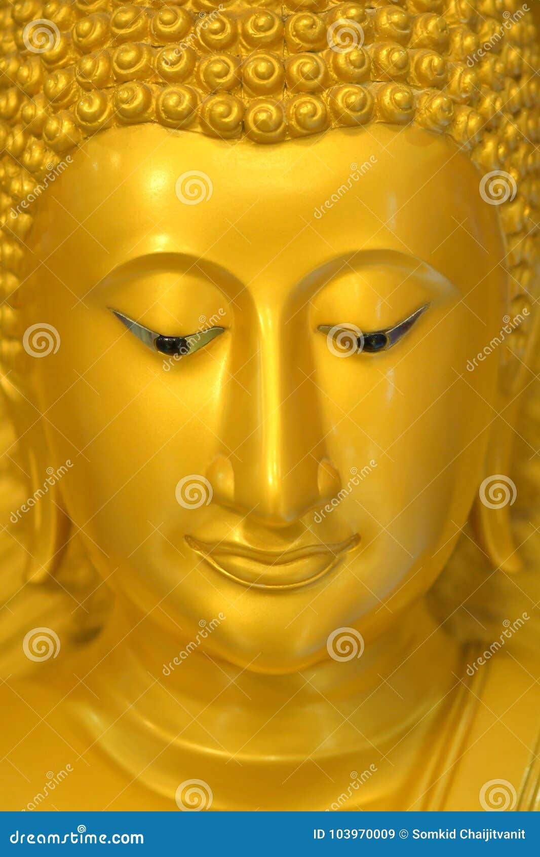 The face of Buddha stock image. Image of cheeks, meditation - 103970009