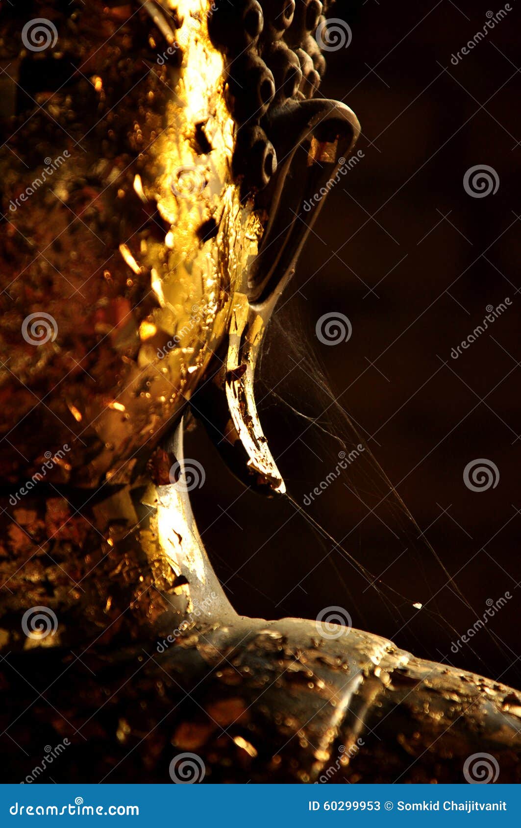 Buddha ears stock image. Image of pray, peaceful, asian - 60299953