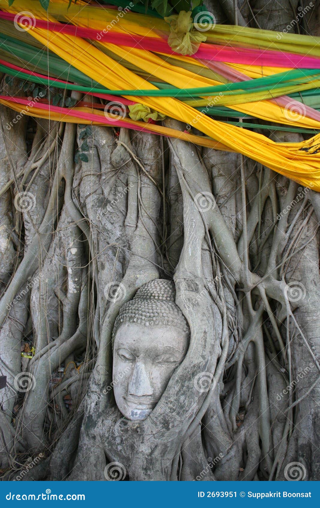 Buddha Face In A Banyan Tree Royalty-Free Stock Photography ...