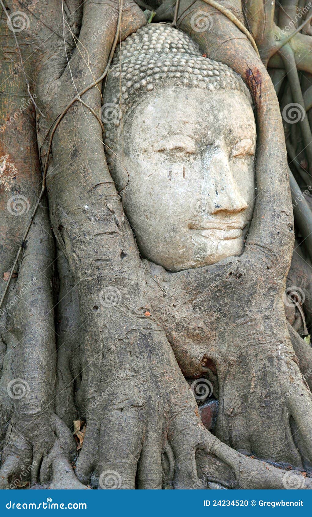 Buddha Face Statue stock photo. Image of buddhist, eastern - 24234520