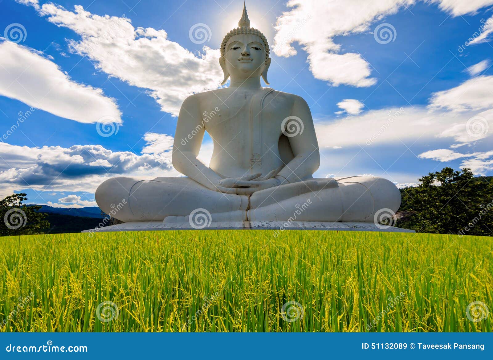Buddha on the field stock image. Image of crop, farm - 51132089