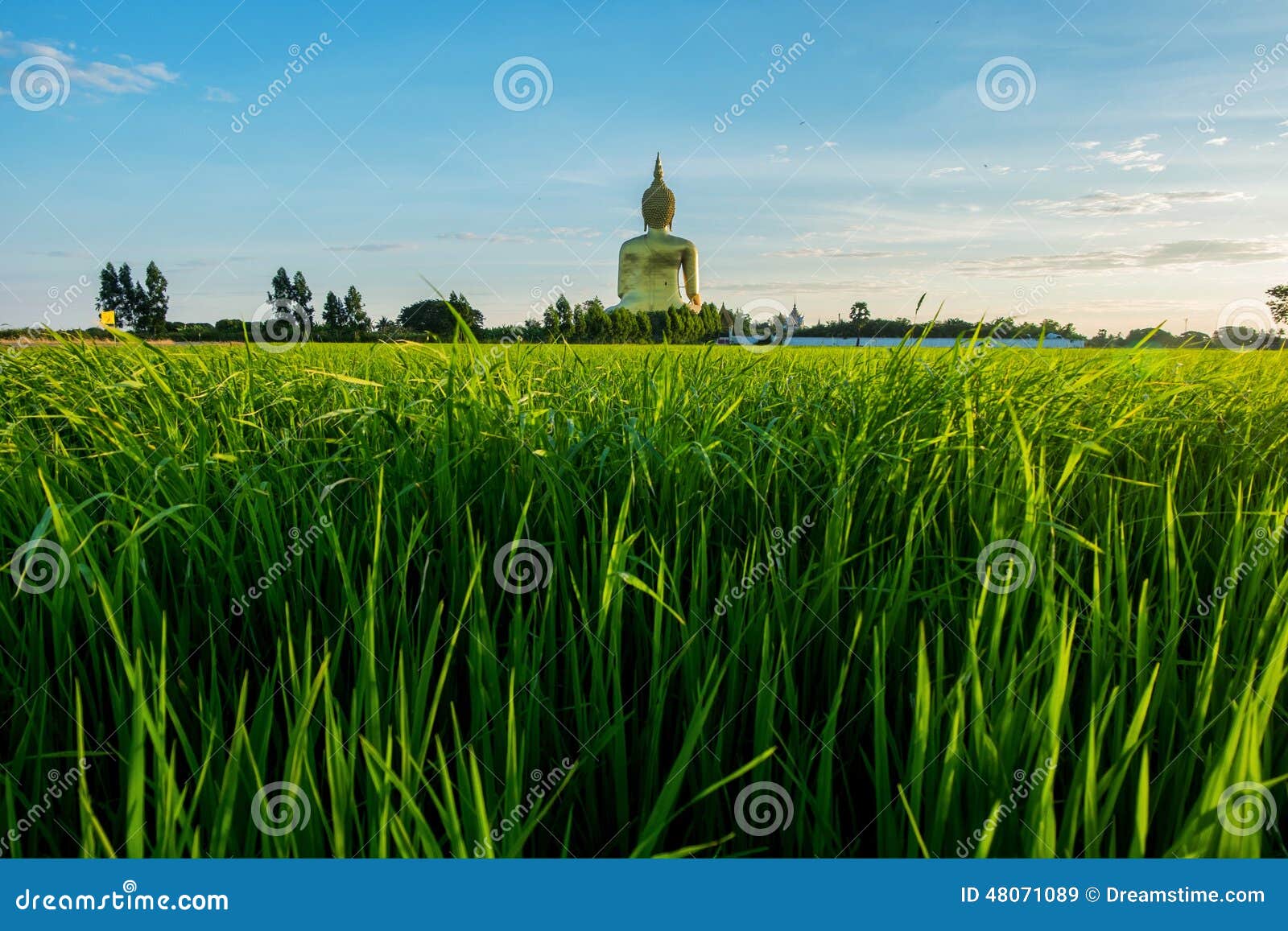 Buddha among the field stock image. Image of thailand - 48071089