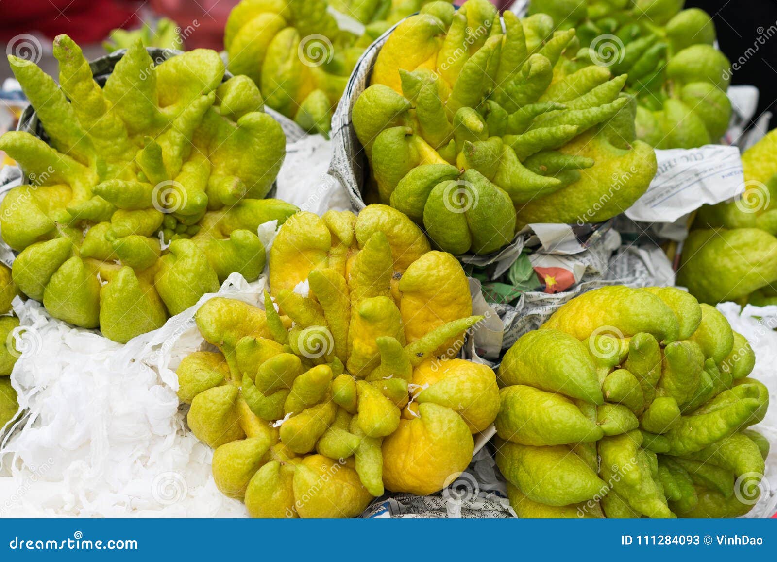 Buddha Finger Citron Digitate Citrus Fruit in Oriental Worship Stock ...