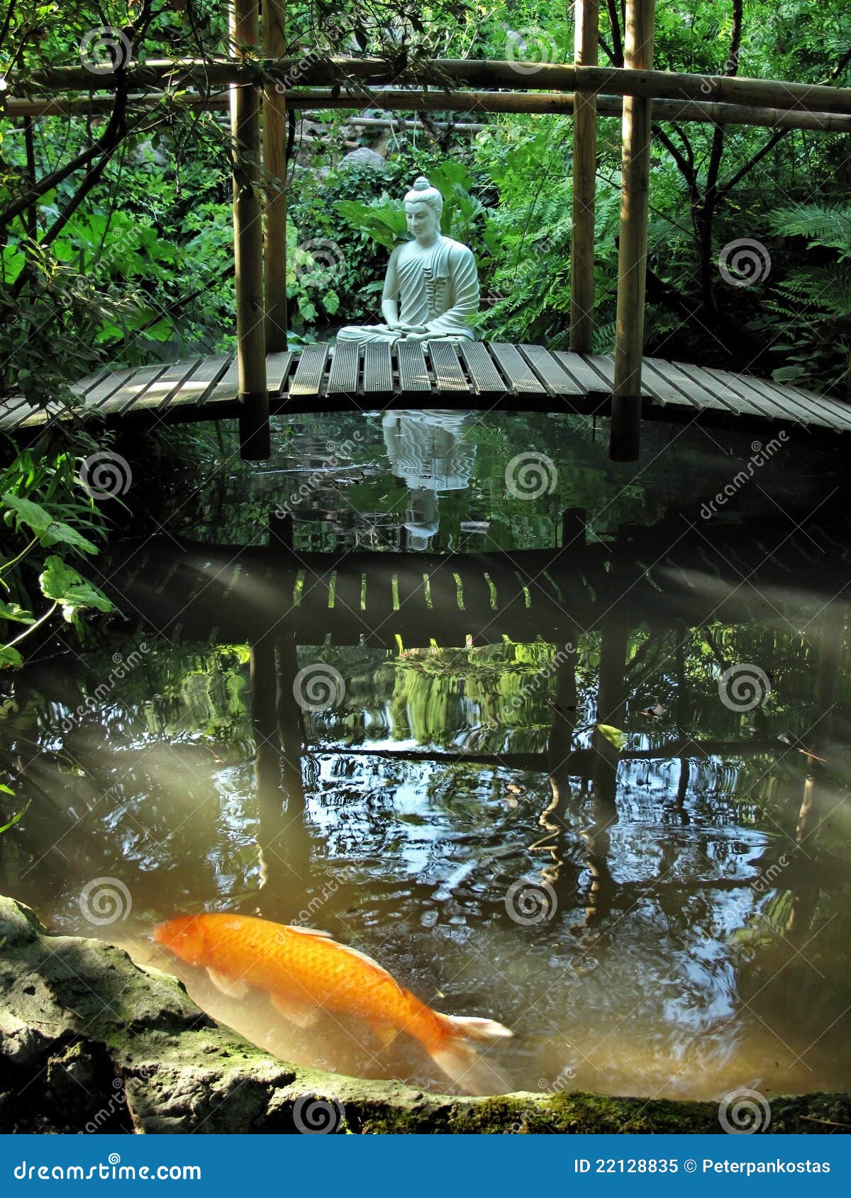 Buddha and golden fish stock image. Image of spirit, calm - 22128835