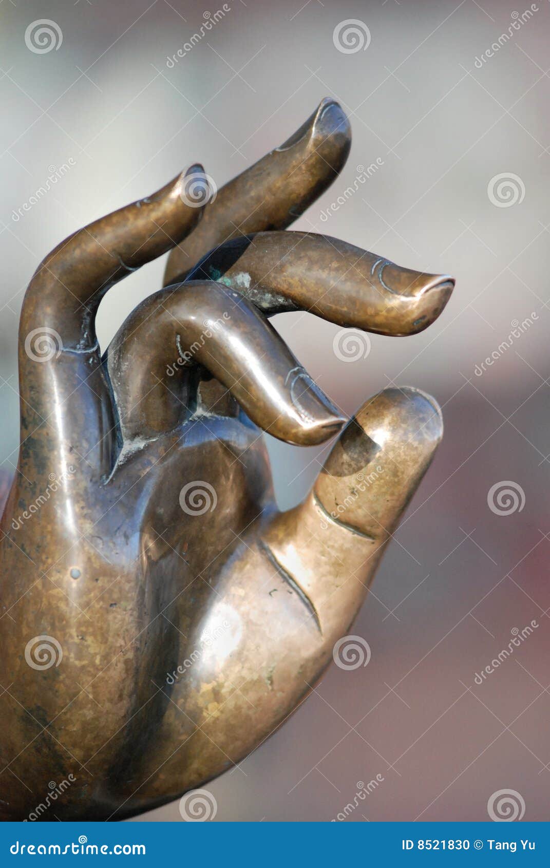 Buddha Hand stock photo. Image of faith, books, famous - 8521830