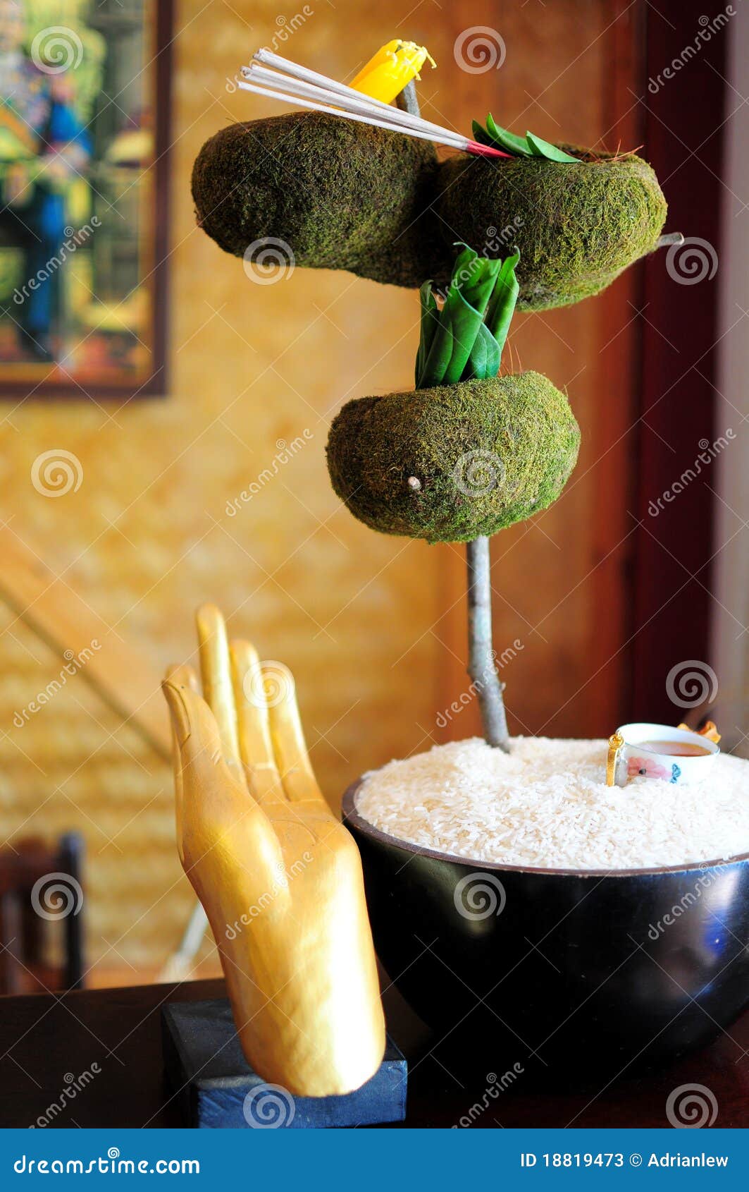 Buddha`s Hand Citrus Medica Var. Sarcodactylus Or Fingered Citron ...