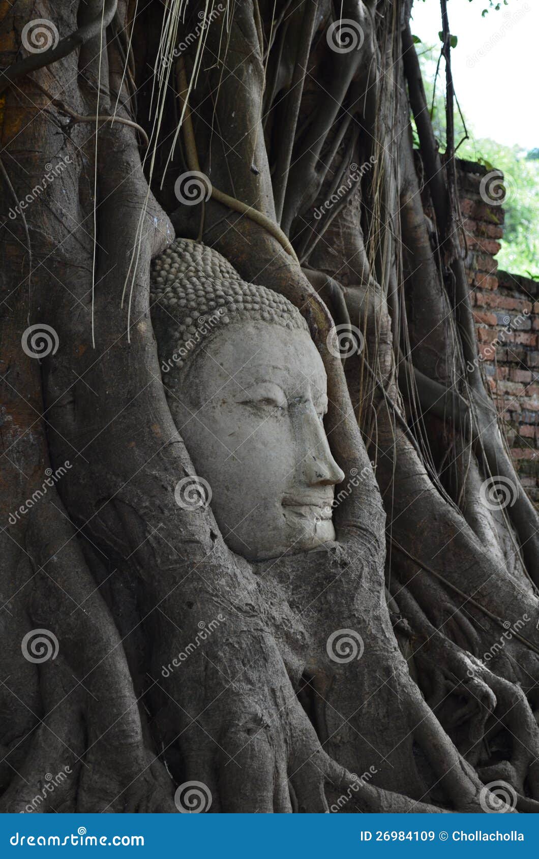 Buddha head stock image. Image of overgrown, southeast - 26984109