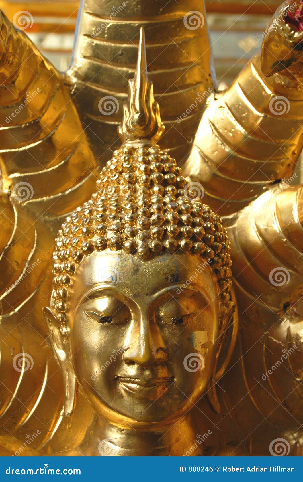 Buddha head stock photo. Image of head, thailand, buddha - 888246