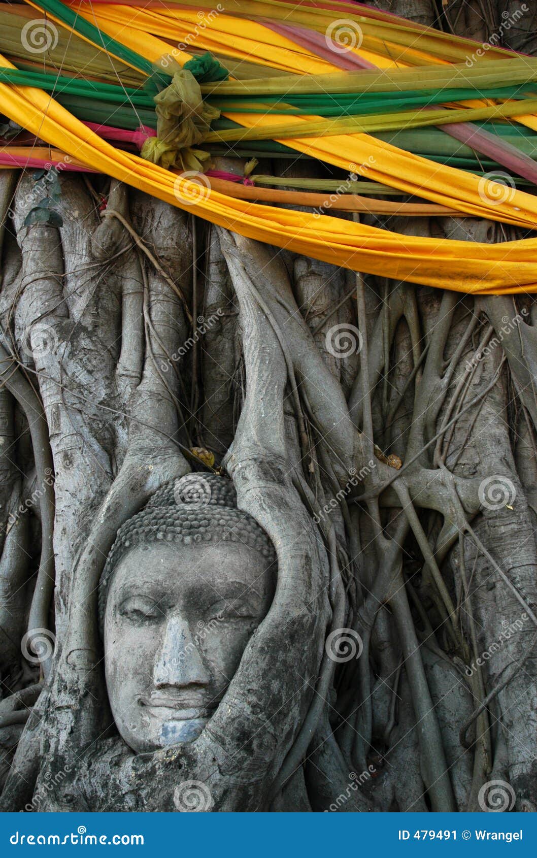 Buddha Head Surrounded by Roots Stock Image - Image of holy, phra: 479491