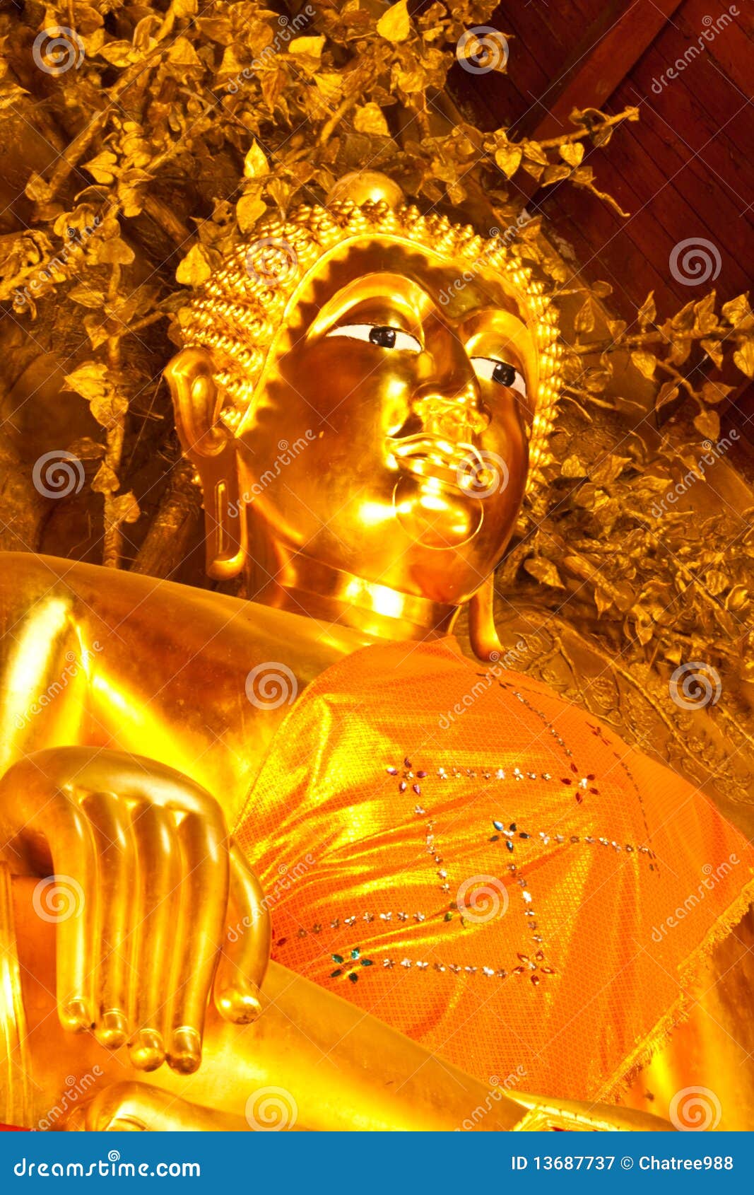 Badh Stock Photos - Free & Royalty-Free Stock Photos from Dreamstime