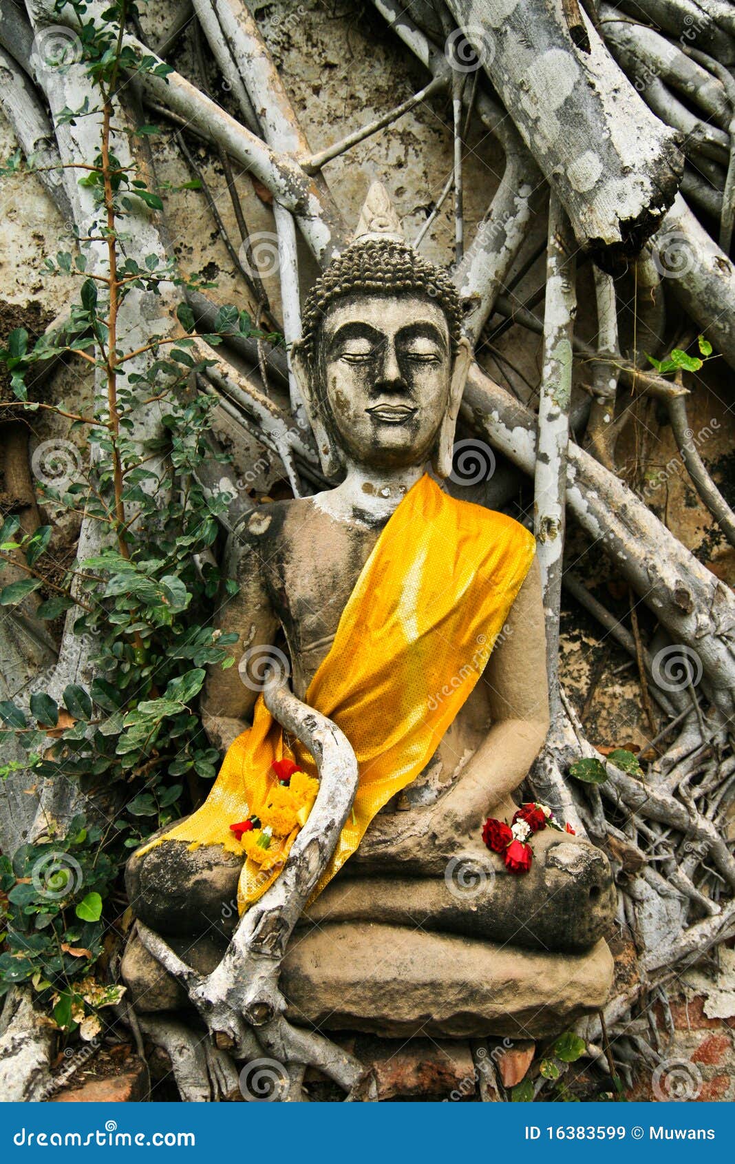 Buddha Image Ayudhya Thailand Stock Image - Image of ayudhya, temple ...