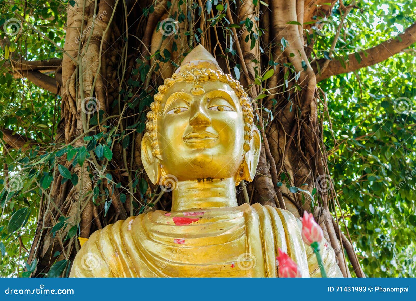 Buddha Image Under Bodhi Tree Stock Image - Image of decoration, faith ...